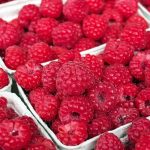 Fruit Picking – Wymeswold Fruit Farm